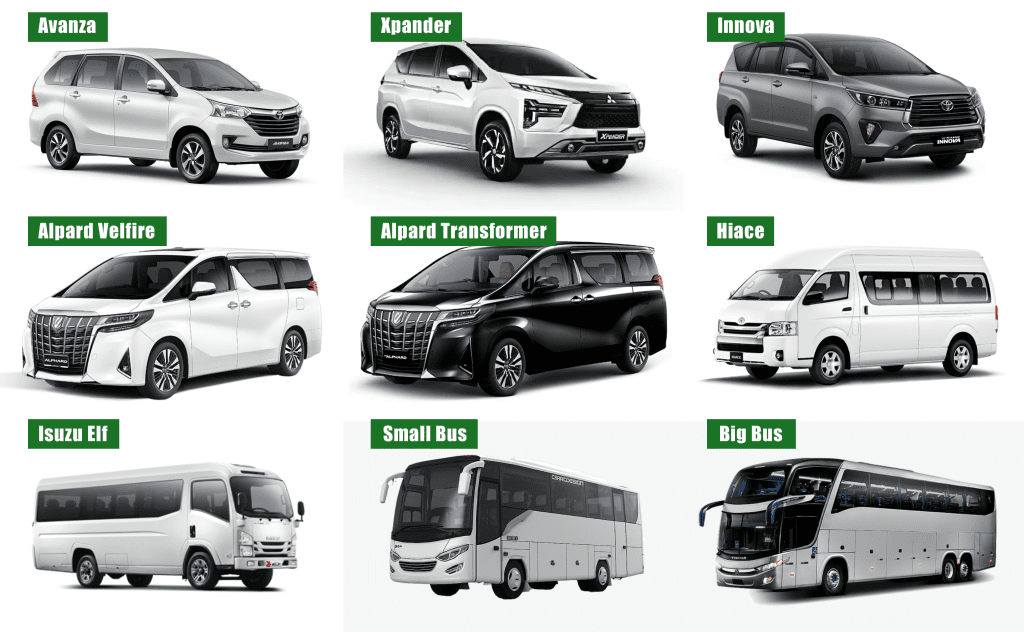 Services - Bali Golf Tours
